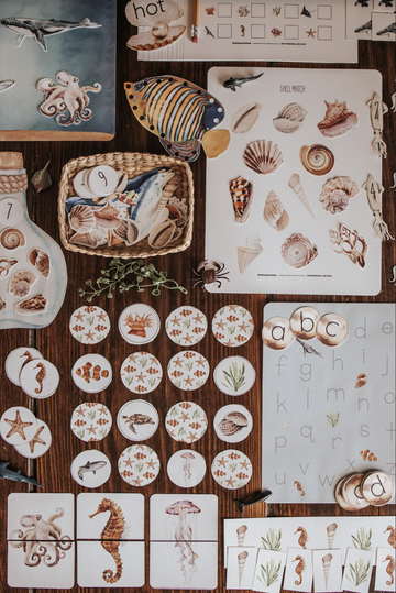 Oceanography Morning Basket – Harbor and Sprout