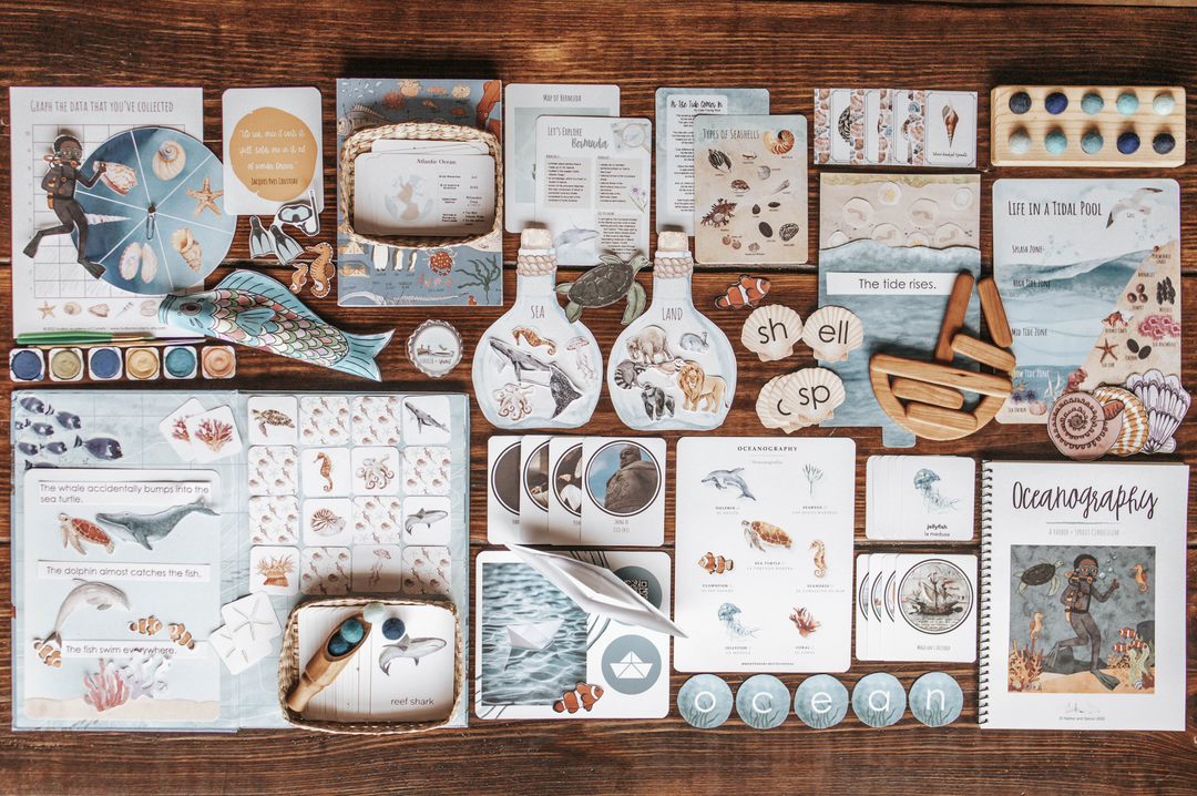 Oceanography Patchwork Study – Harbor and Sprout