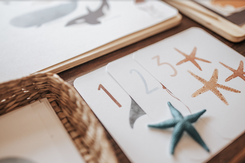 Discover the Ocean Activity Pack – Harbor and Sprout