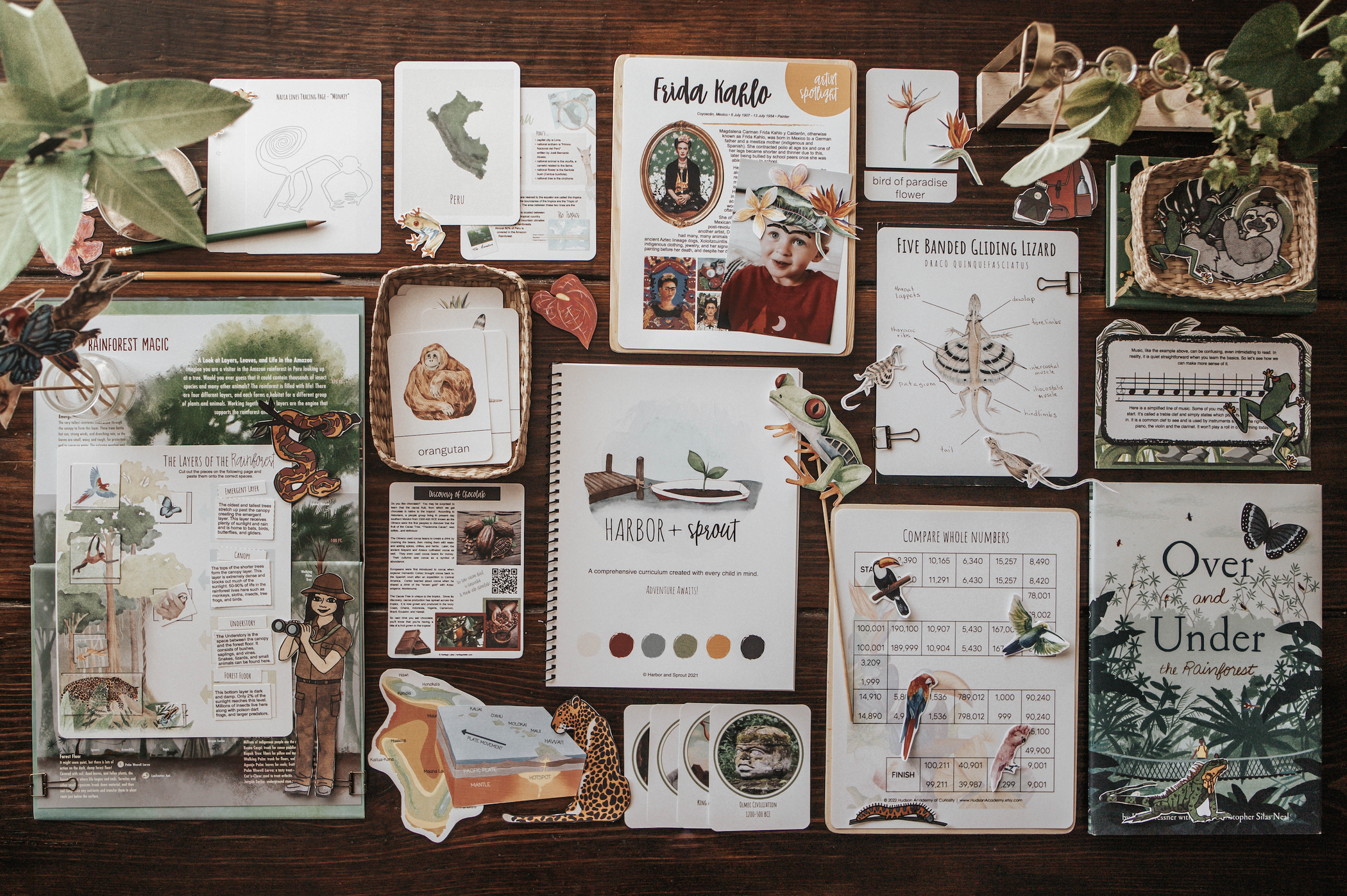 Tropical Ecology Patchwork Study – Harbor and Sprout