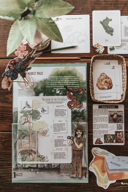 Tropical Ecology Patchwork Study – Harbor and Sprout