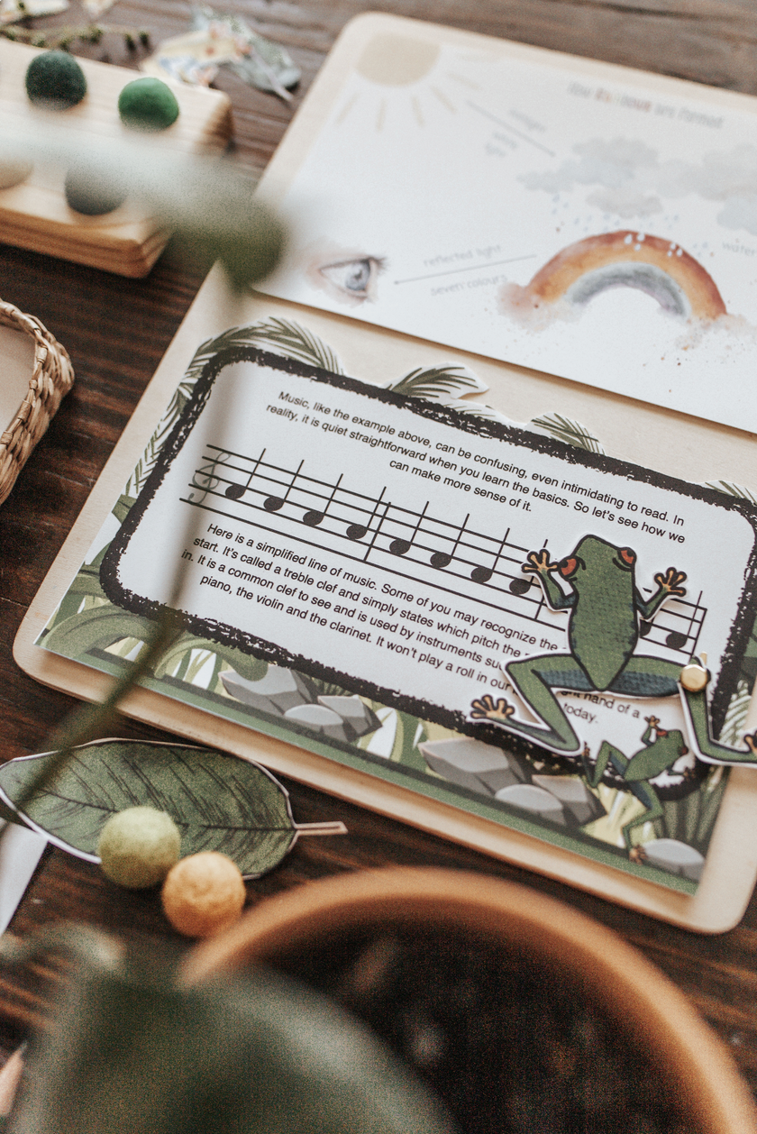 Tropical Ecology Patchwork Study – Harbor and Sprout