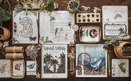 Tropical Ecology Patchwork Study – Harbor and Sprout