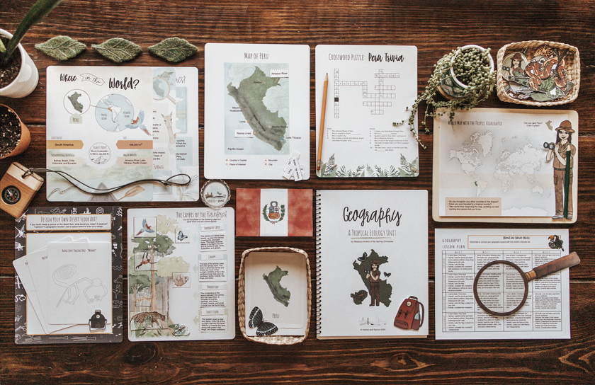 Tropical Ecology Patchwork Study – Harbor and Sprout