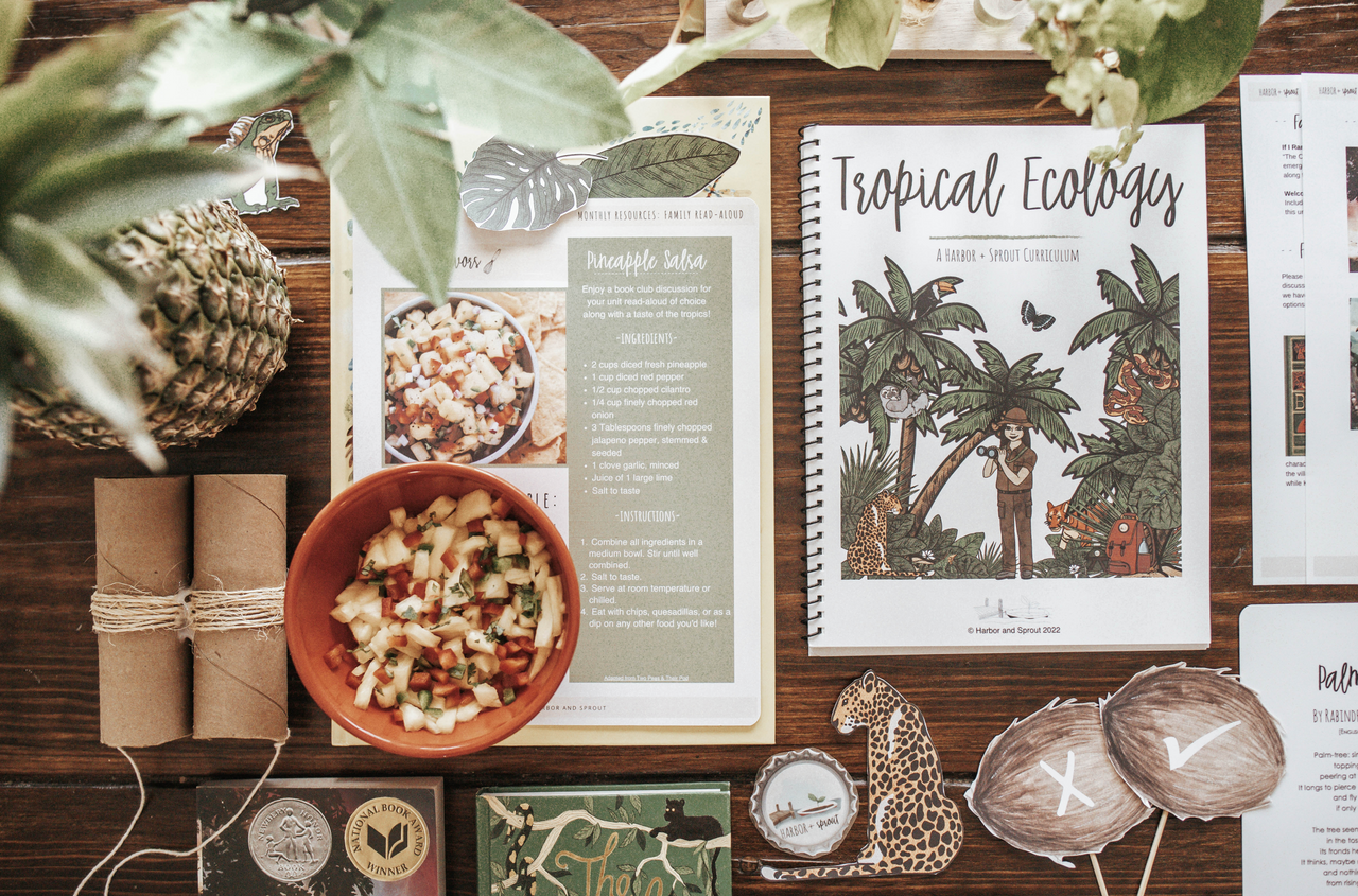 Tropical Ecology Patchwork Study – Harbor and Sprout