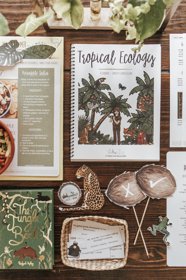 Tropical Ecology Patchwork Study – Harbor and Sprout