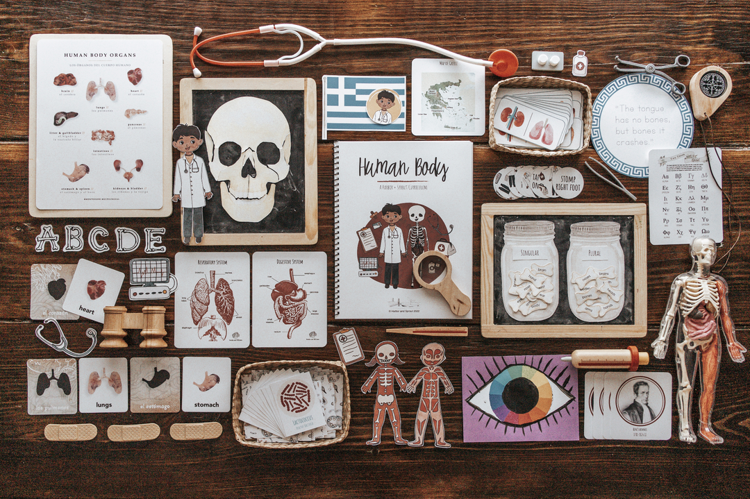 Human Body Patchwork Study – Harbor and Sprout