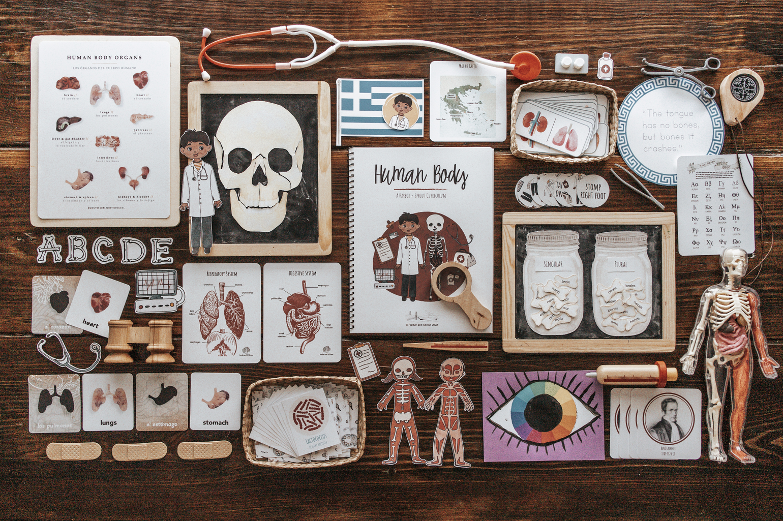 Human Body Patchwork Study – Harbor and Sprout