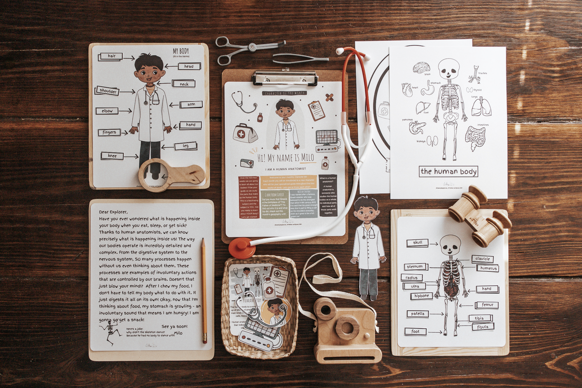 Human Body Patchwork Study – Harbor and Sprout