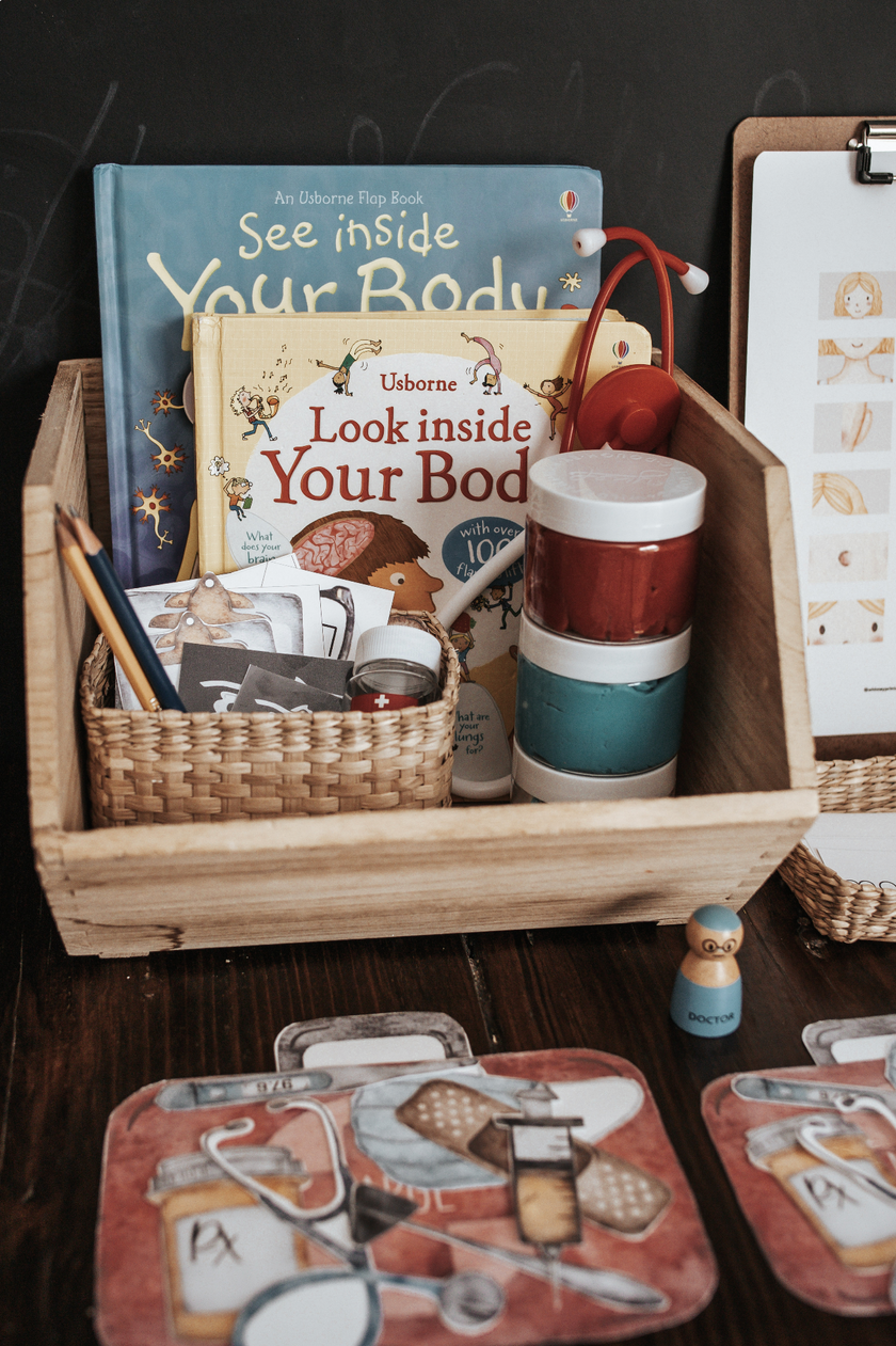 Human Body Morning Basket – Harbor and Sprout