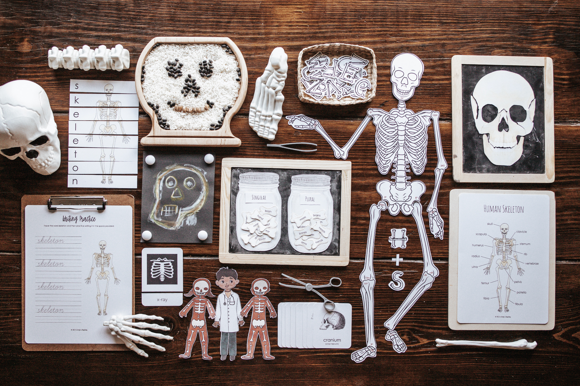 Human Body Patchwork Study – Harbor and Sprout