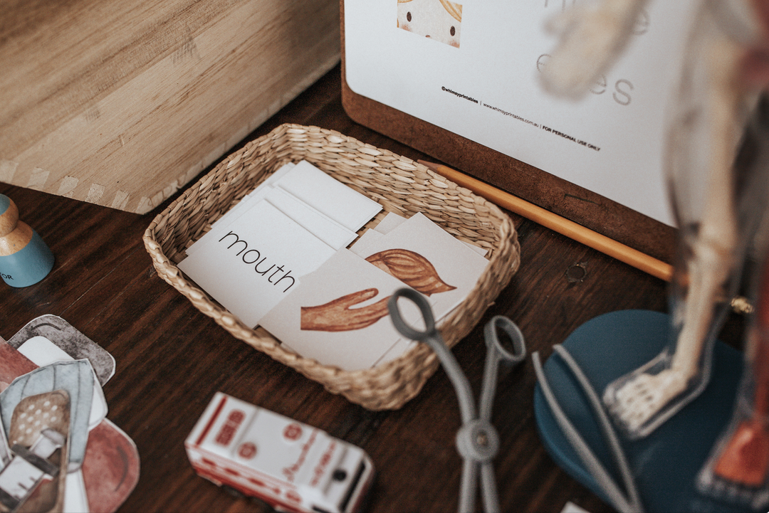 Human Body Morning Basket – Harbor and Sprout
